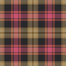 Fiona Modern Tartan Kilt - Modern Tartan Kilt | Kilt Home
